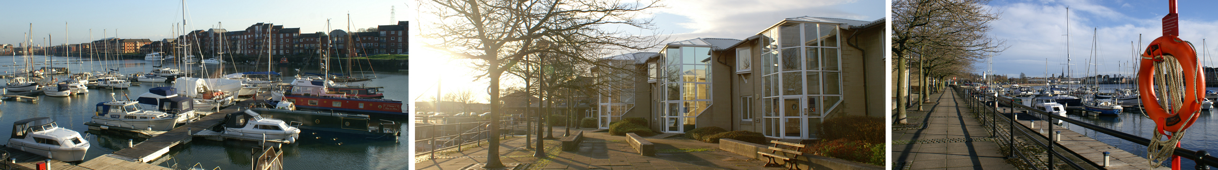 Our Company | Pinkus